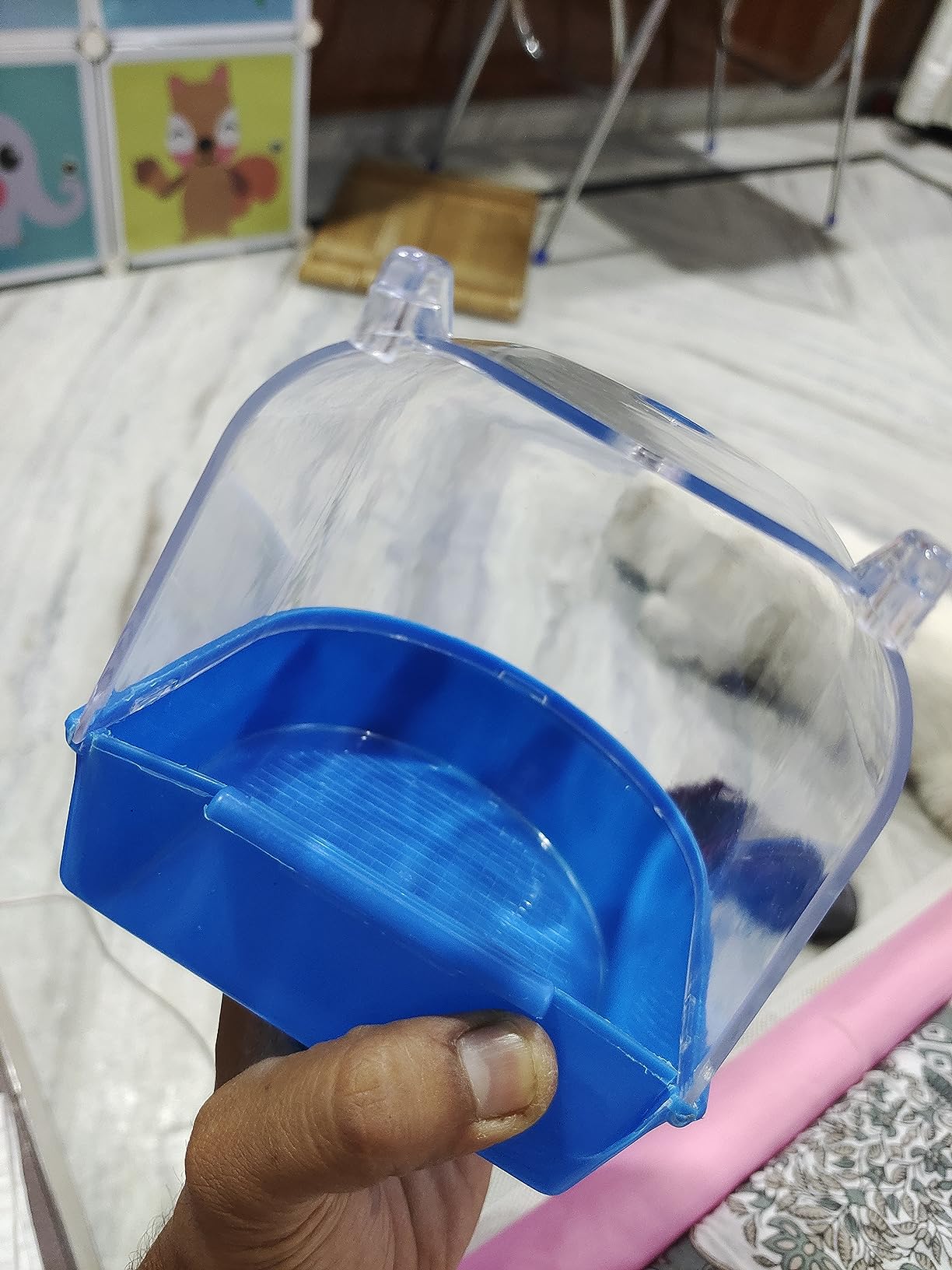 Sage Square Bird Bath Box,Caged Bird Wonderful Bath tub with Hole for ...