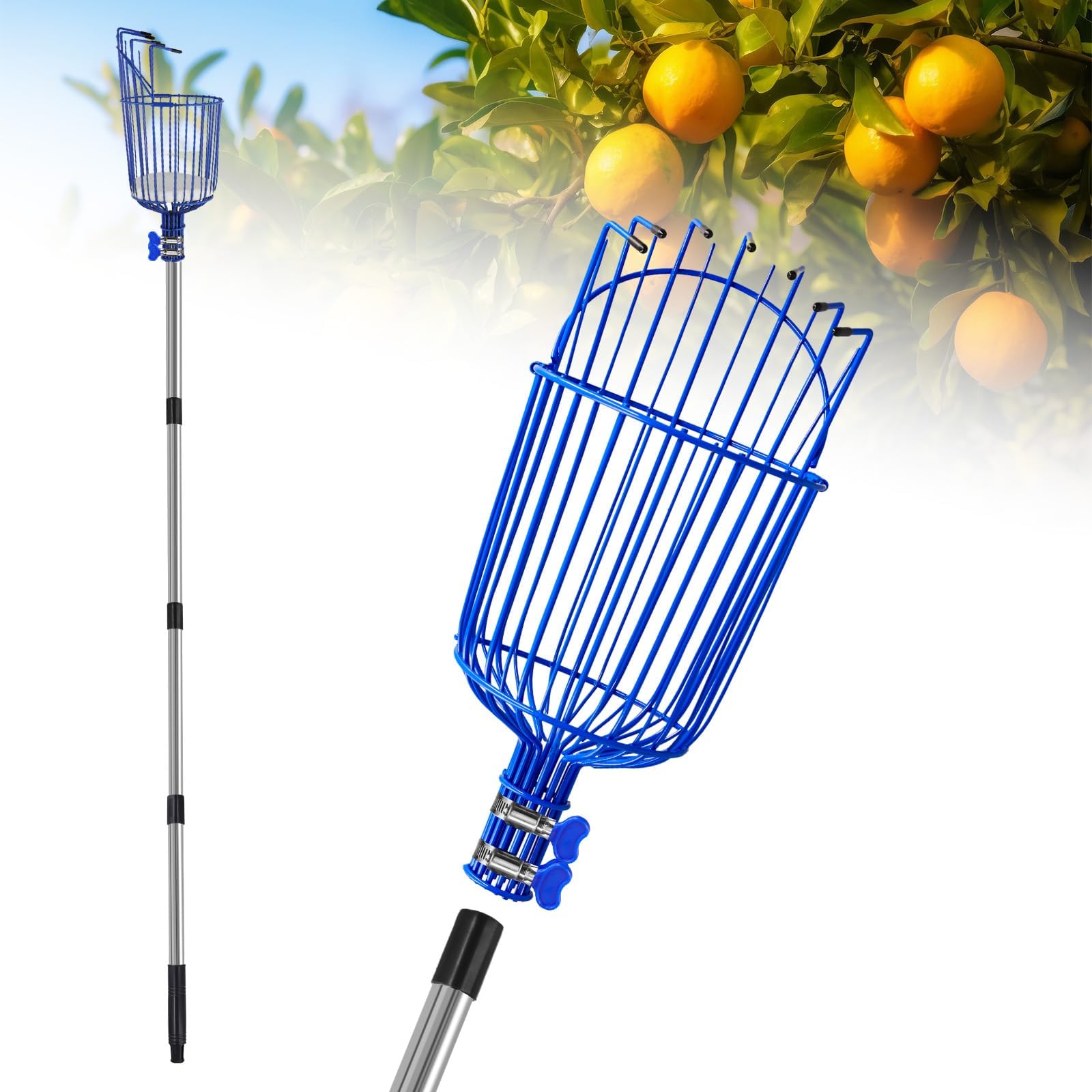 Amazon.com : COCONUT Fruit Picker Pole with Basket Telescoping, 10 FT ...