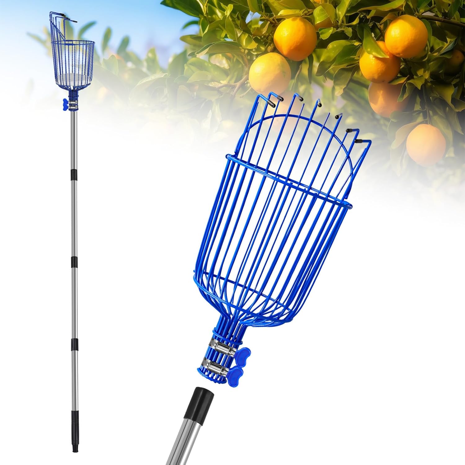 Amazon.com : Ginbel Direct Fruit Picker Pole with Encrypted Basket ...