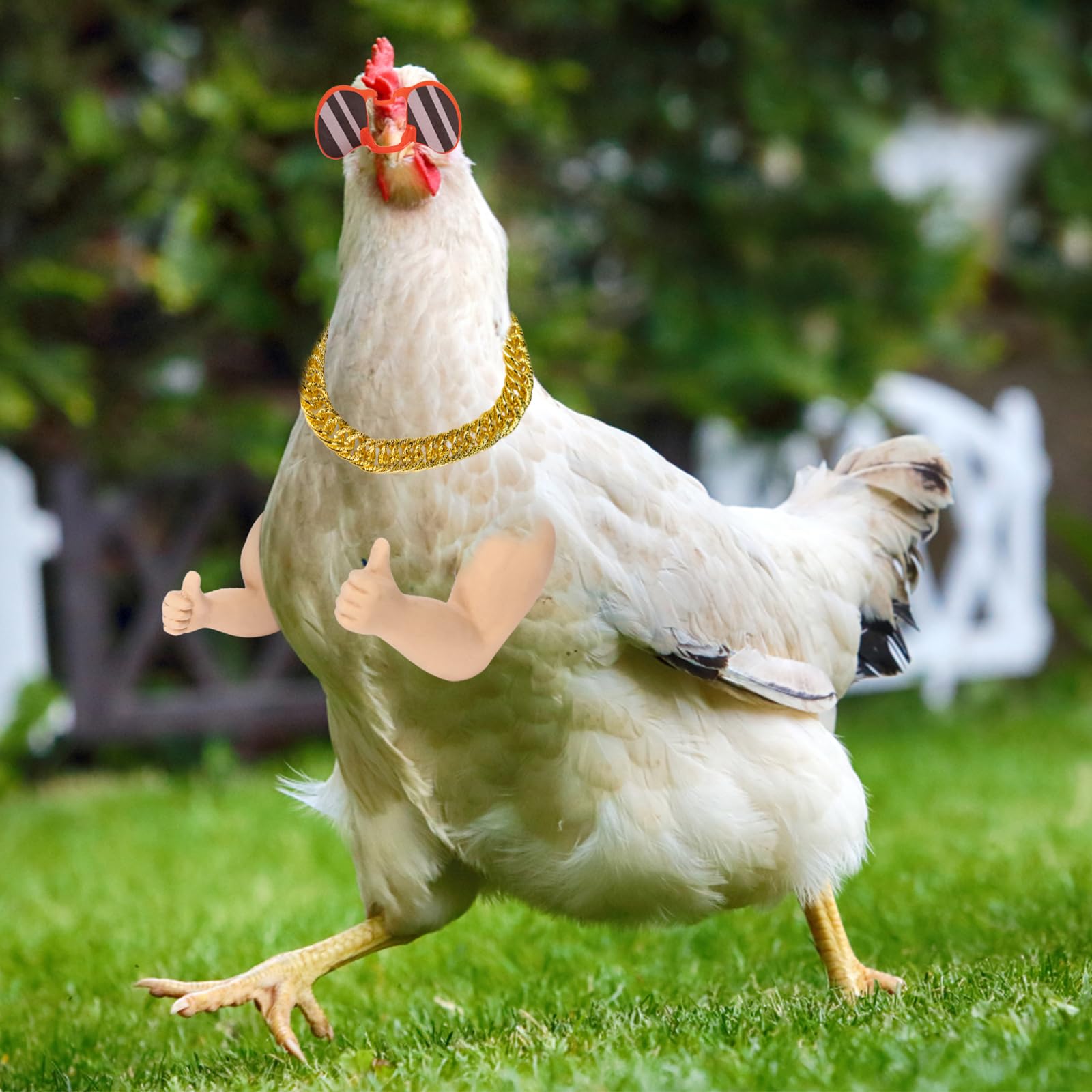 Snapklik.com : Extguds Thumb Up Chicken Arms To Put On Chickens,a Funny ...