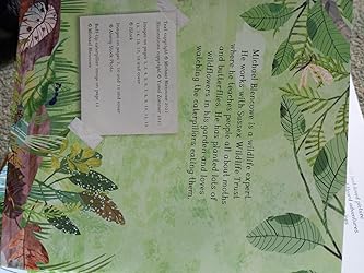 The Woolly Bear Caterpillar: Amazon.co.uk: Donaldson, Julia, Zommer ...