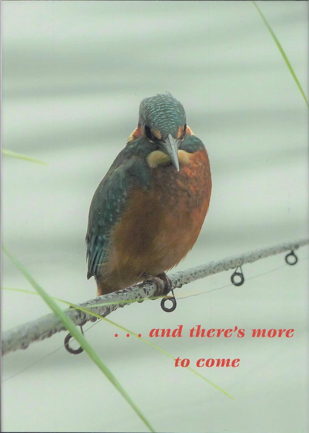 THE FIRST SEVENTY YEARS. By Archie Braddock.: Amazon.co.uk: Books