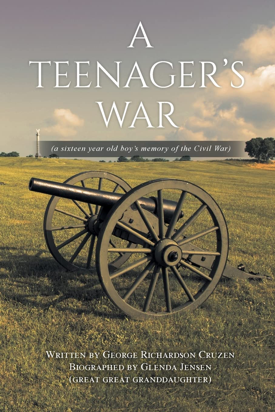 A Teenager's War: a sixteen year old boy's memory of the Civil War ...