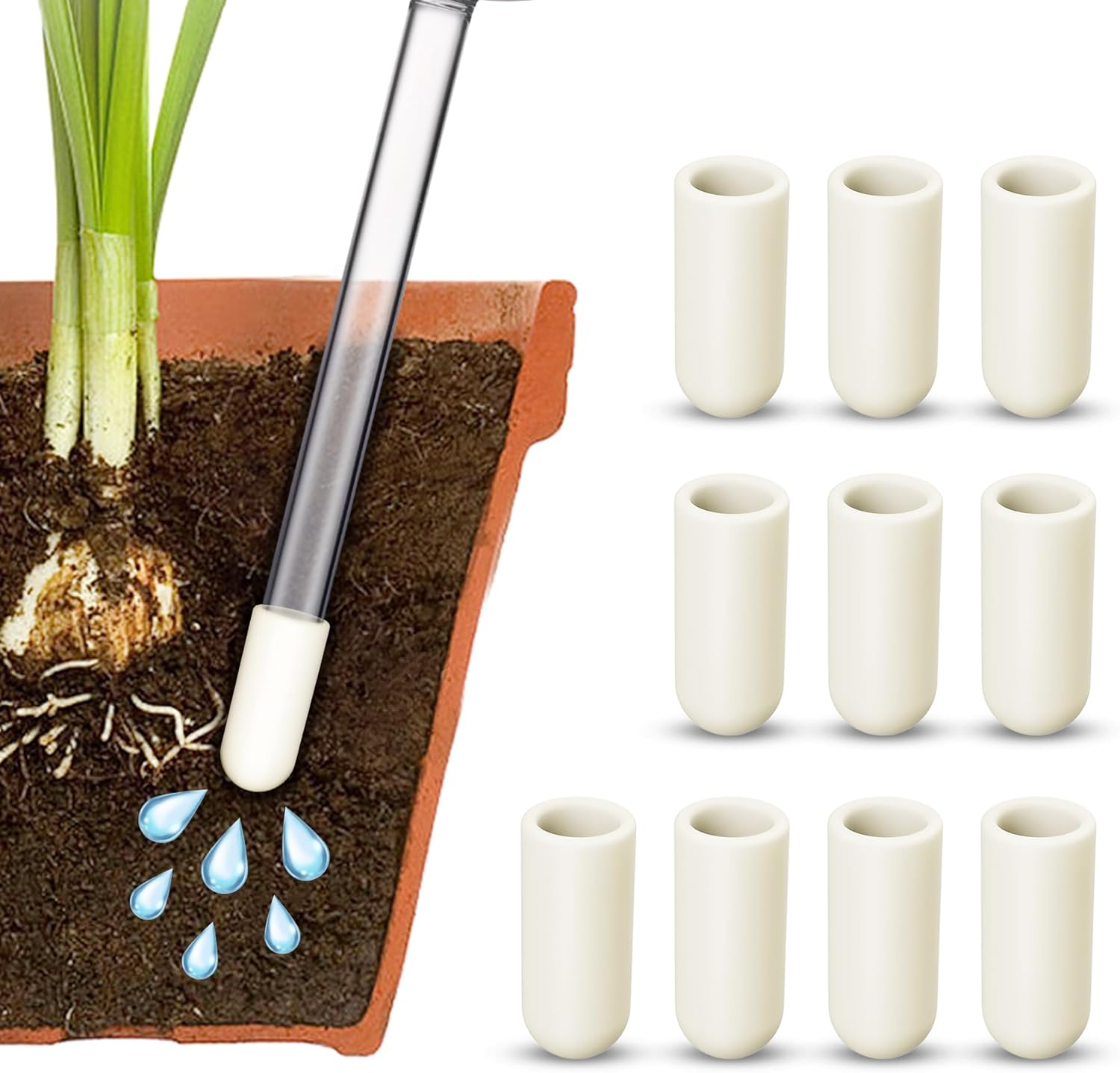 Amazon.com: Tomorotec Self-Watering Globe Silicone Water Flow Reducer ...