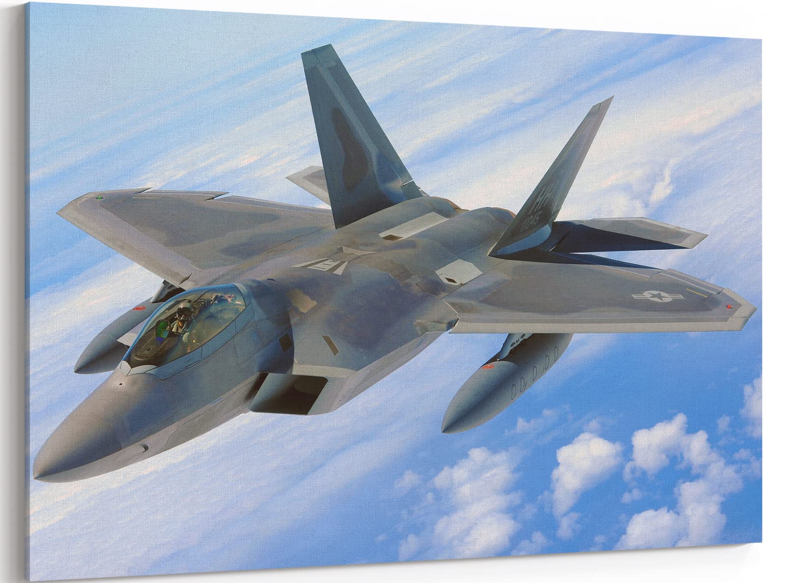 Amazon.com: F-22 Airplane Canvas Wall Art Prints Lockheed Martin F-22 ...