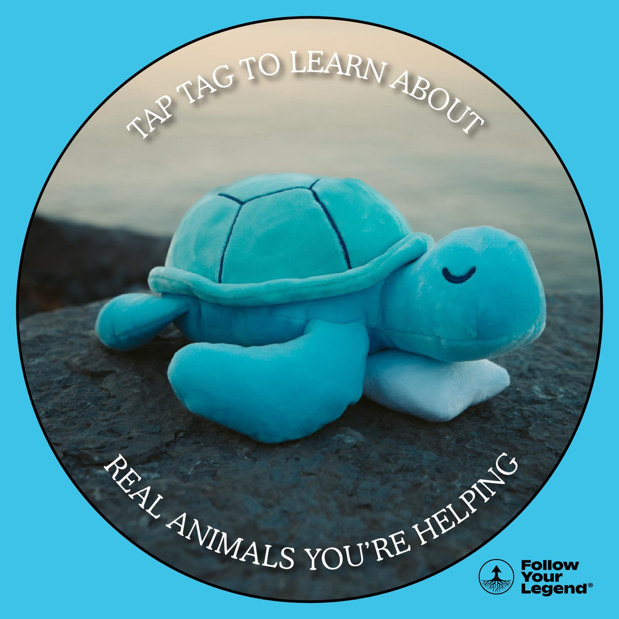 Sammy Turtle Soft Toy