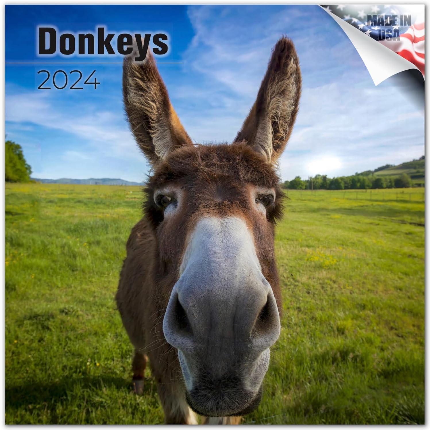 Amazon.com : 2024 2025 Donkeys Calendar - Cute Farm Animal Monthly Wall ...