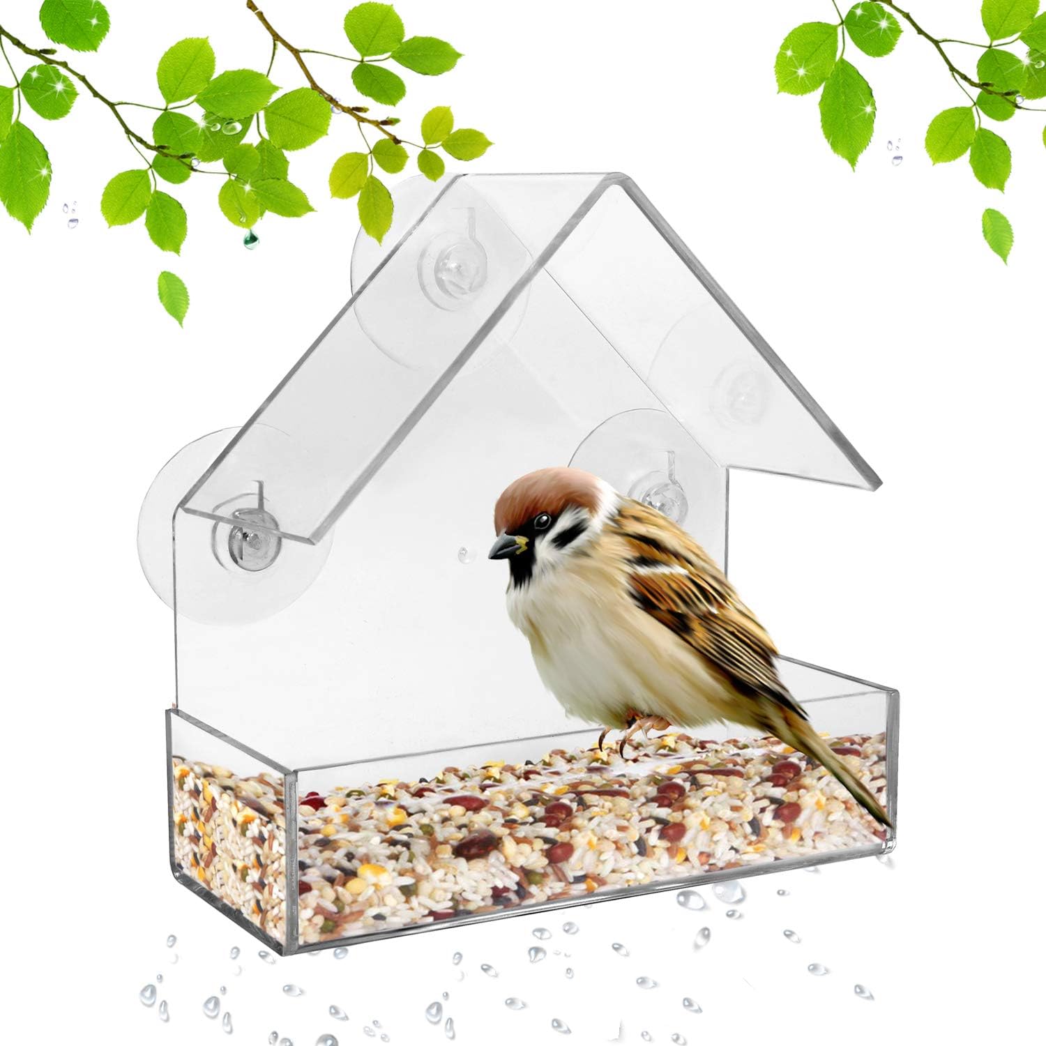 Amazon.com : Window Dird Feeder, Suction Cups Clear Transparent Bird ...