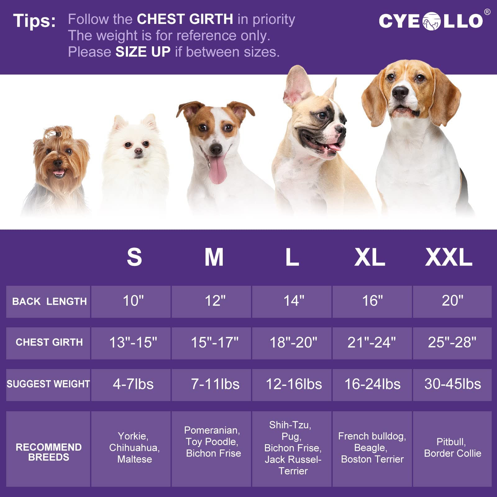 Dog Size Chart By Weight Puppy Pacifier | Dog Pacifier Teething Toy