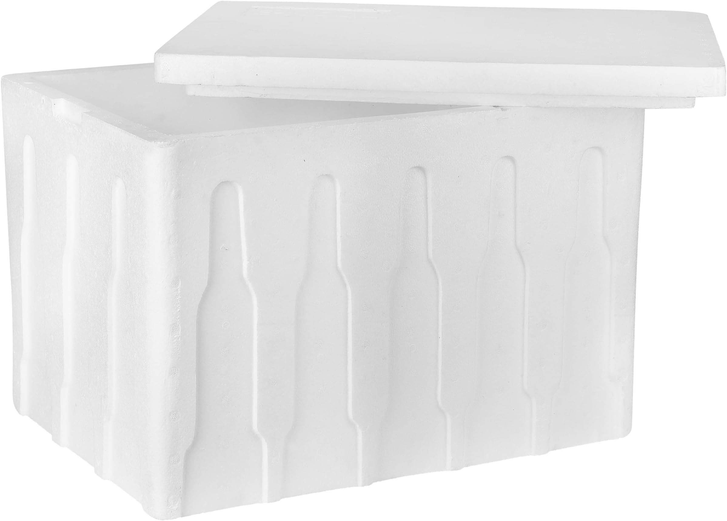 Buy E-Kool Portable Insulated Ice Box 30 LTR for Travel – EPS Ice ...