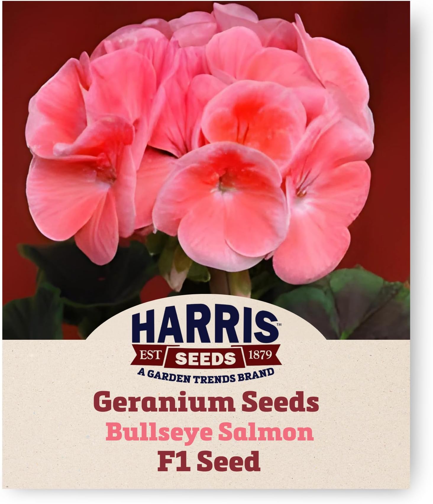 Amazon.com : Pase Seeds Geranium Zonal Maverick Series Coral Seeds ...