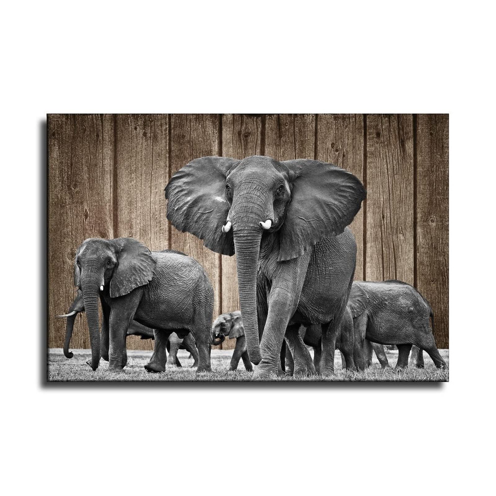 Families In The Wild Elephant