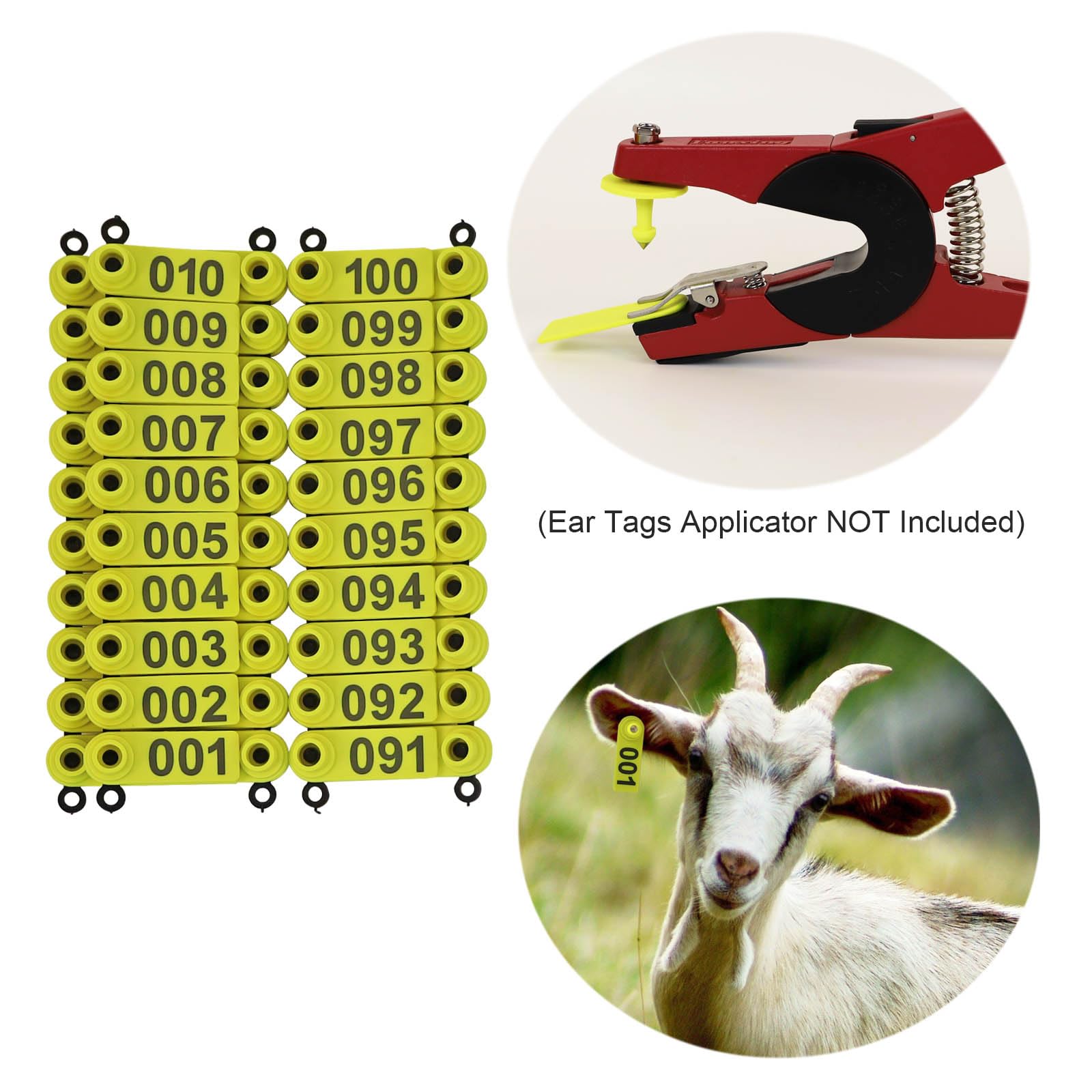 Snapklik.com : Ear Tags For Goats Sheep Lambs Hogs