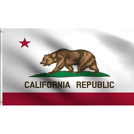 Amazon.com : DMSE California State The Bear Flag Flag 2X3 Ft Foot 100% ...