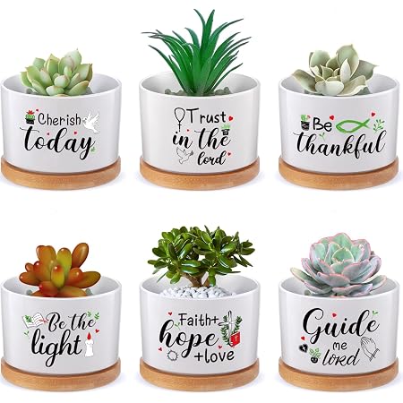 Amazon.com : 12 Pcs White Bible Verse Succulent Pots with Drainage 3.15 ...
