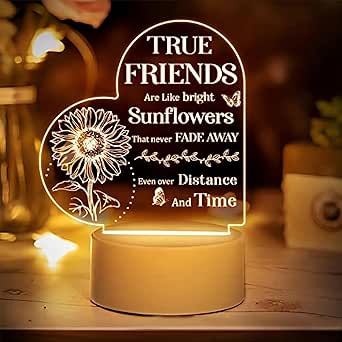Rionaty LED Best Friend Night-Light Gifts, 3D Long Distance Friendship ...