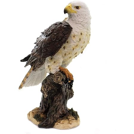 Amazon.com: Ebros Realistic Wildlife Yellow Tailed Hawk Perching On ...