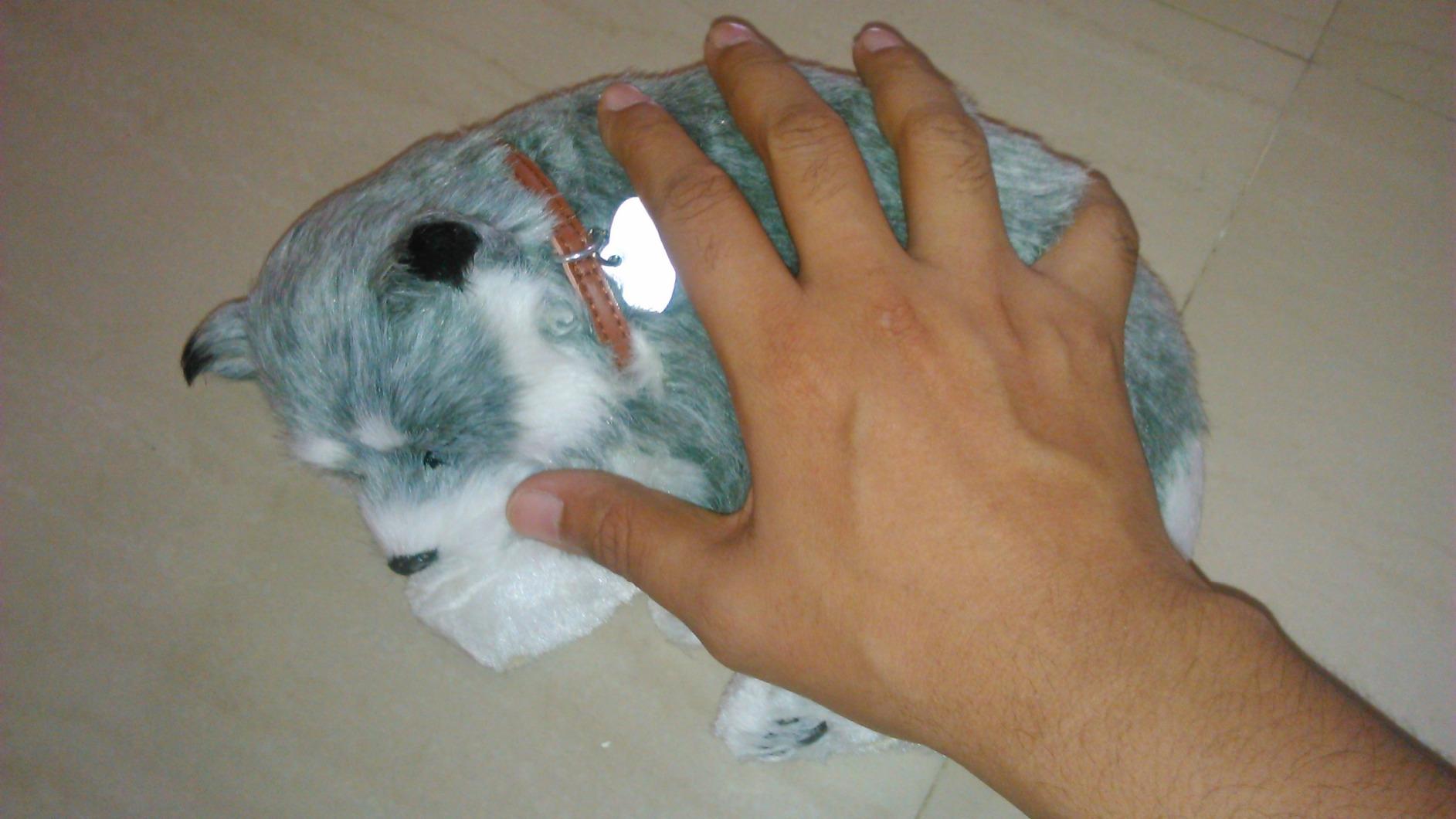 Perfect Petzzz Alaskan Husky, Multi Color : Amazon.in: Toys & Games