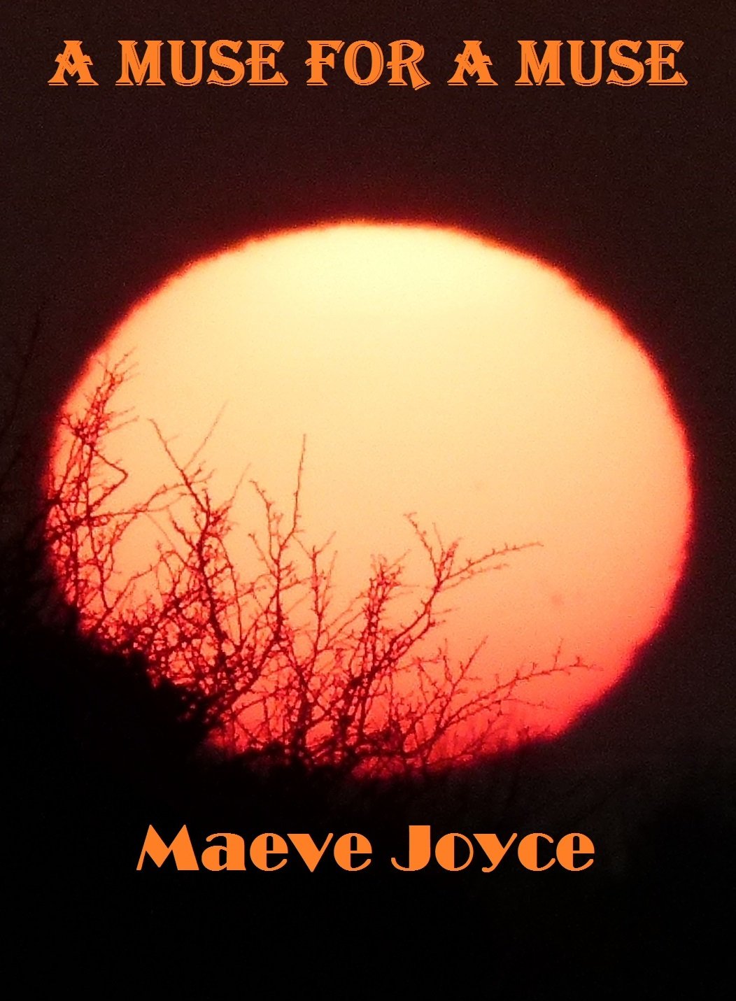 A Muse for a Muse - Kindle edition by Joyce, Maeve, G, Rita G ...