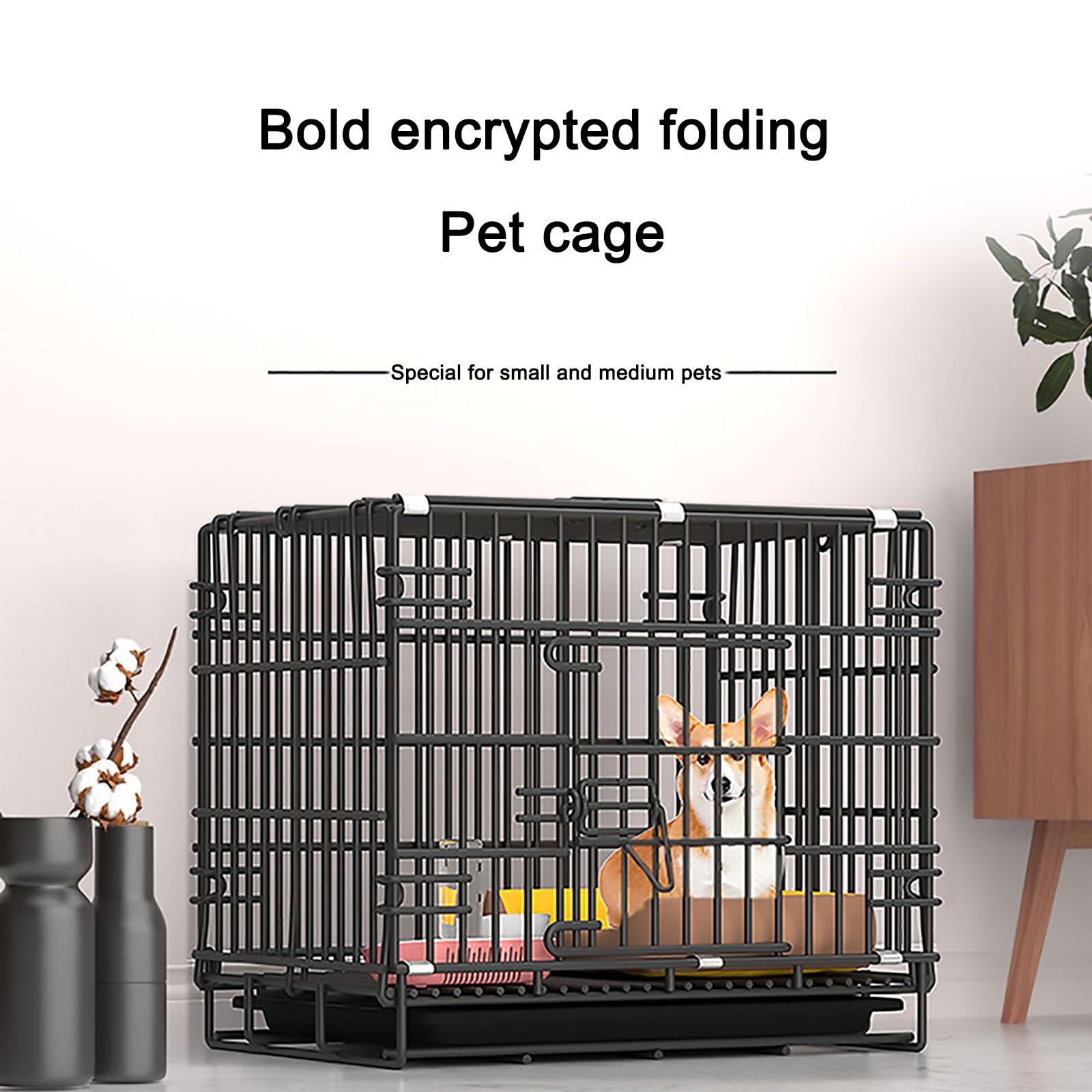 Empty Dog Crate