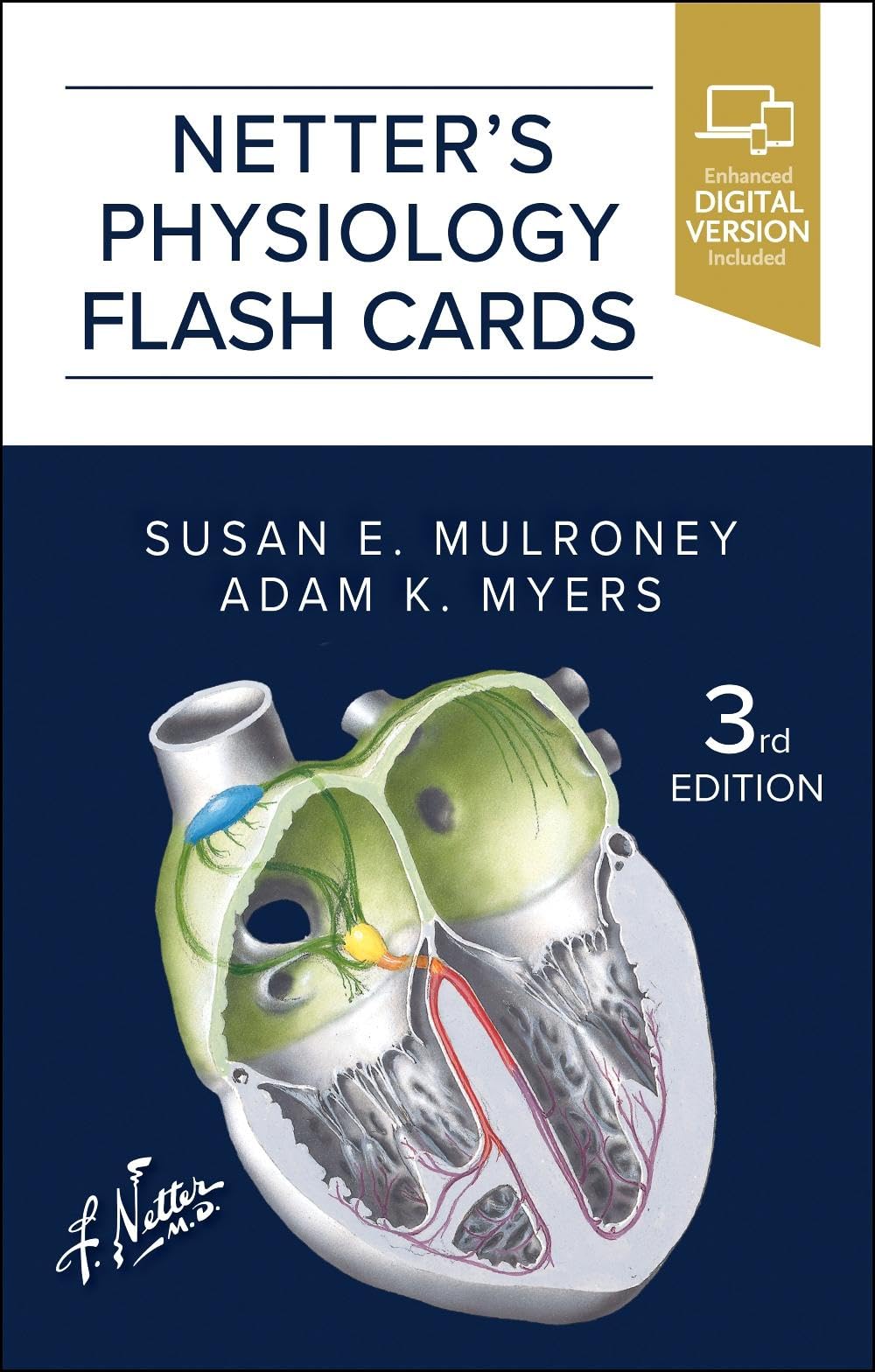 Netter's Physiology Flash Cards (Netter Basic Science): Mulroney PhD ...