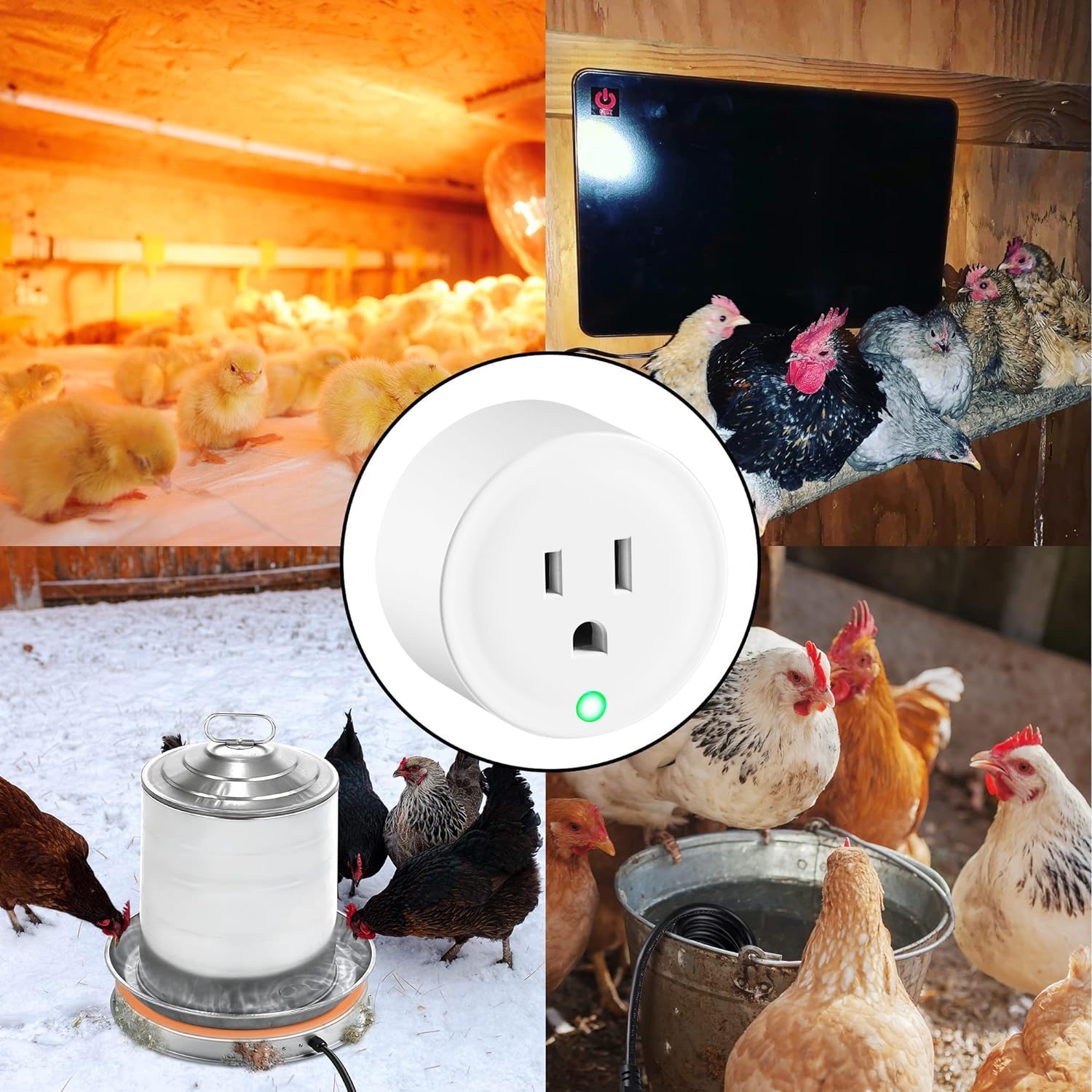 Snapklik.com : Zoblise Thermostatically Controlled Outlet: