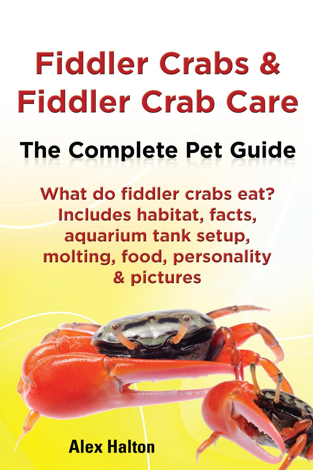 Buy Fiddler Crabs & Fiddler Crab Care The Complete Pet Guide What do ...