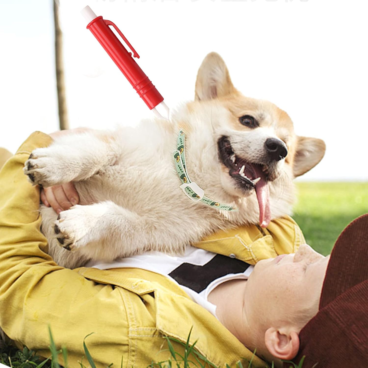 Tick tongs for dogs and cats, set of 3 tick levers, 1 tick tweezers, 1 ...