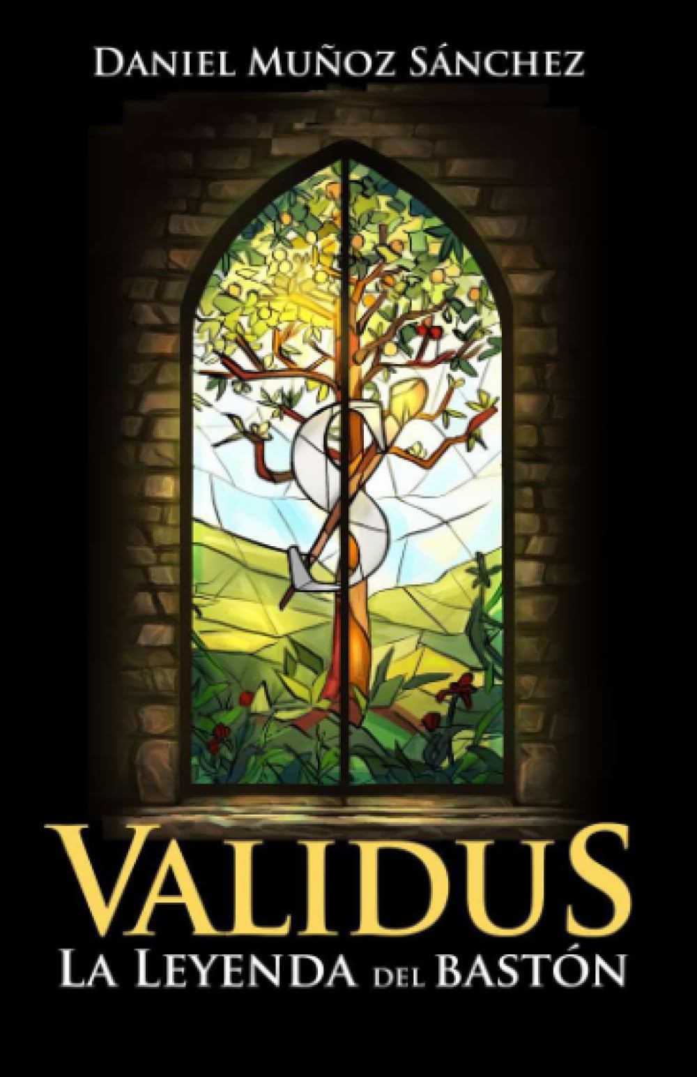 Validus, La leyenda del bastón (Spanish Edition): MUÑOZ SÁNCHEZ, DANIEL ...