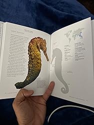 Seahorses: A Life-Size Guide to Every Species: Lourie, Sara A ...