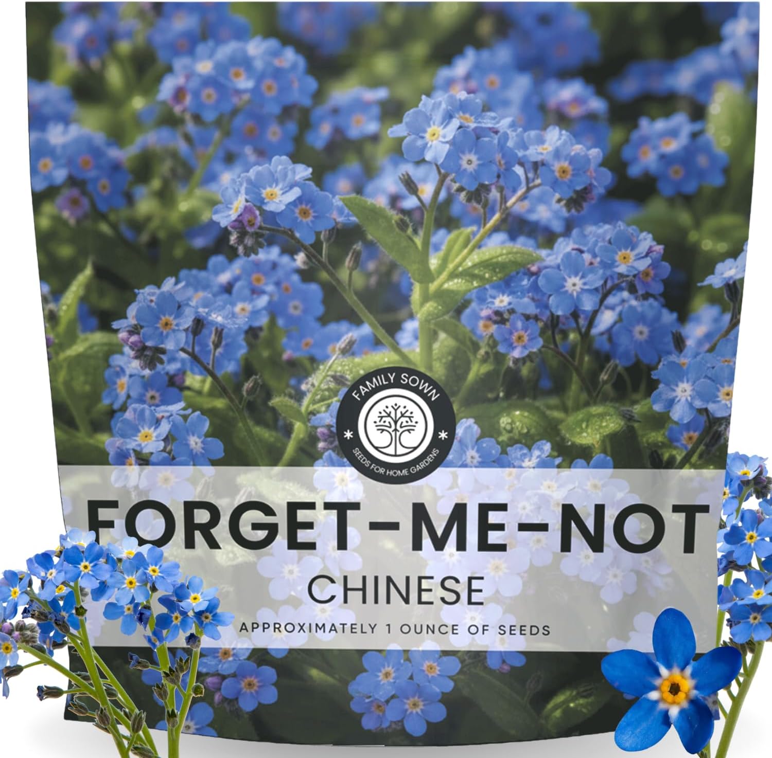 Amazon.com : Chinese Forget Me Not – 4,000 Seeds for Planting – 2026 ...