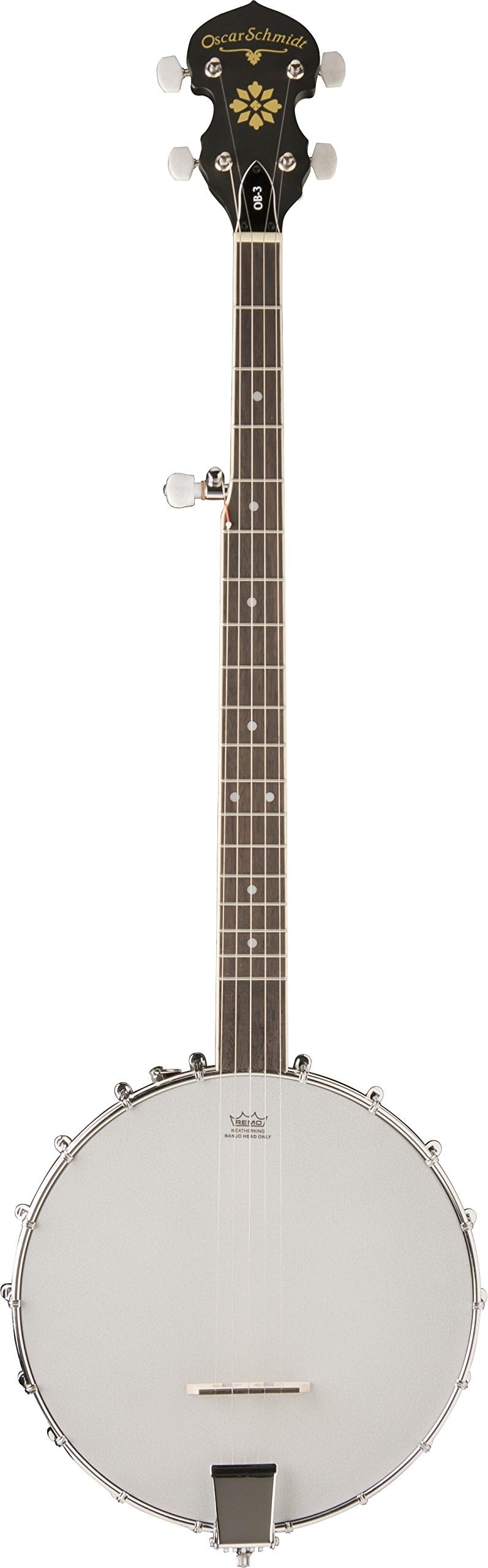 Amazon.com: Rover RB-20 Open Back 5 String Banjo : Musical Instruments