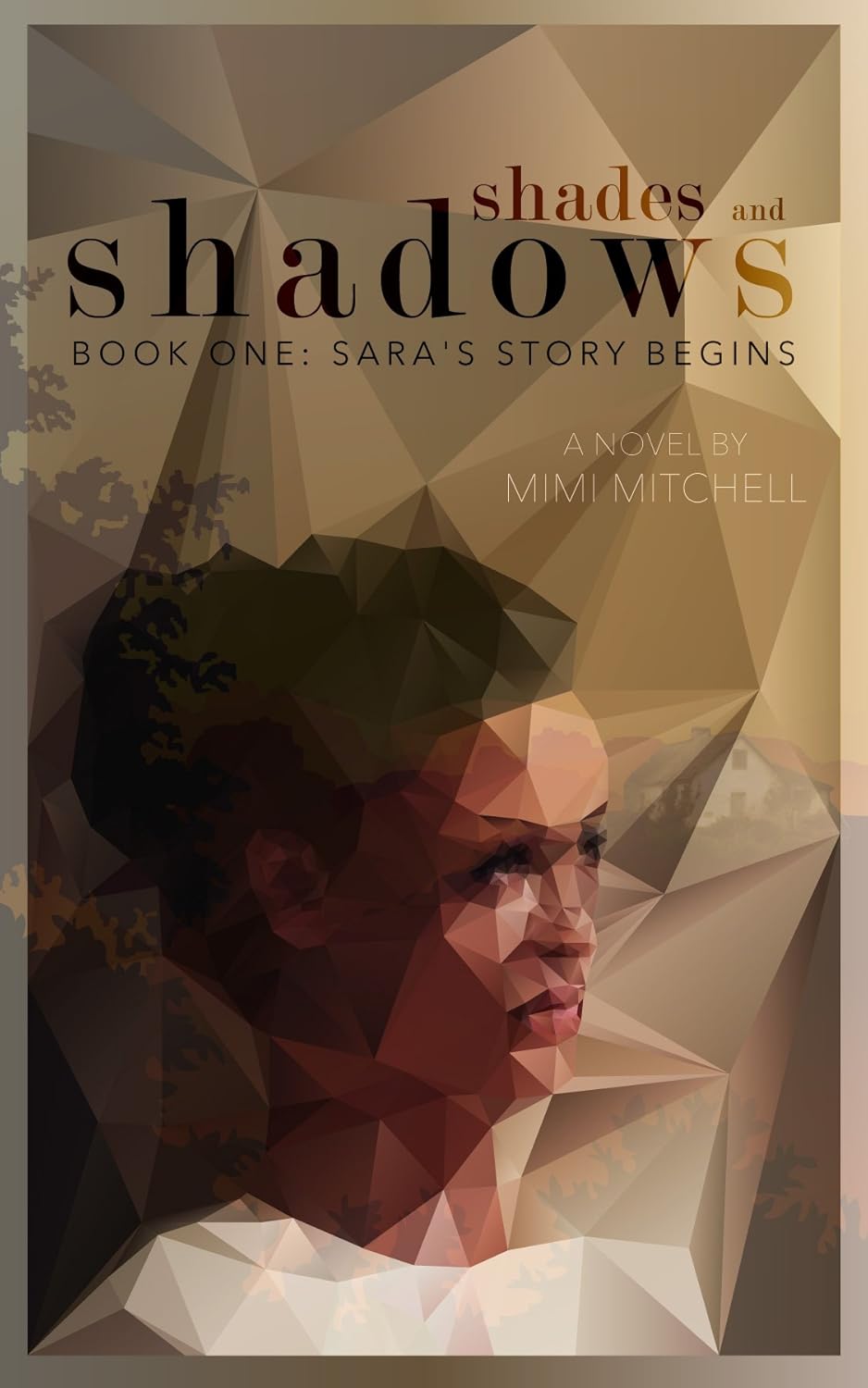 Shades and Shadows: Book One - Sara's Story Begins eBook : Mitchell ...