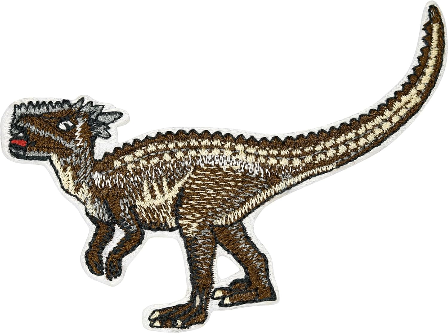 Amazon.com: Dinosaur Patch Dracorex Kids Patches Kids Iron on Patch for ...