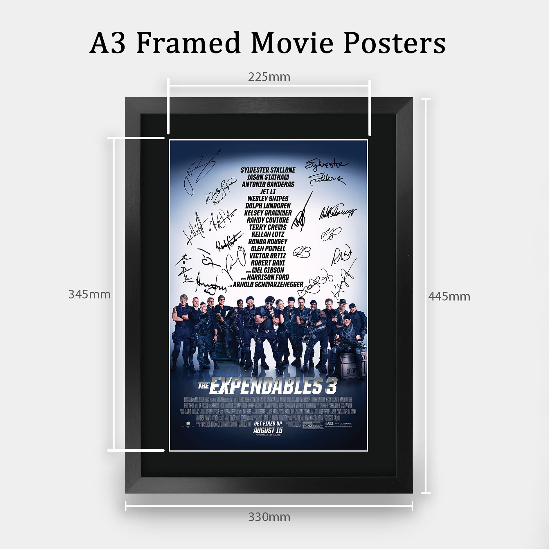 Sylvester Stallone Expendables 3 Poster