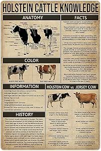 Amazon.com: Youpinnong Holstein Cattle Knowledge Metal Tin Signs ...