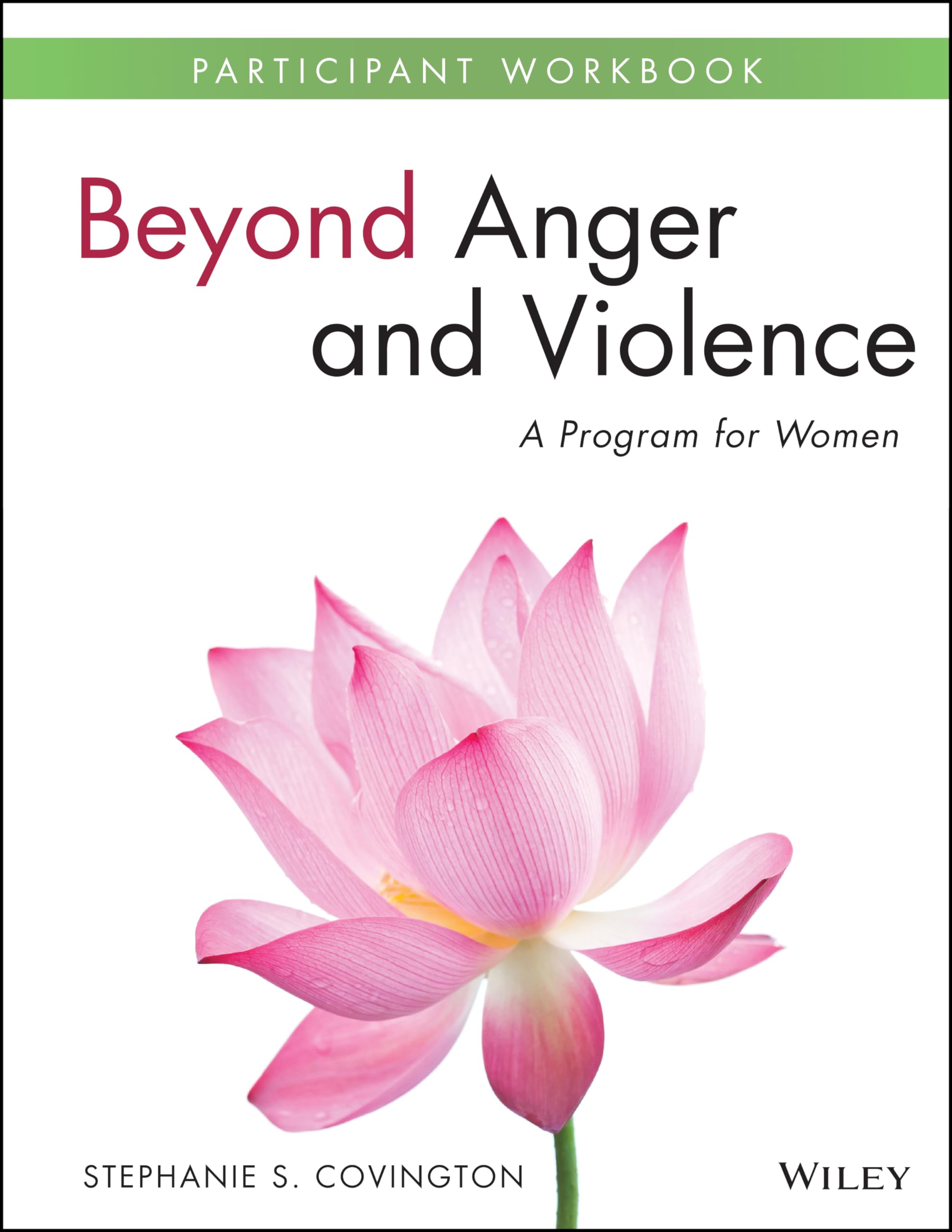 Amazon.com: Beyond Anger and Violence: A Program for Women, Participant ...