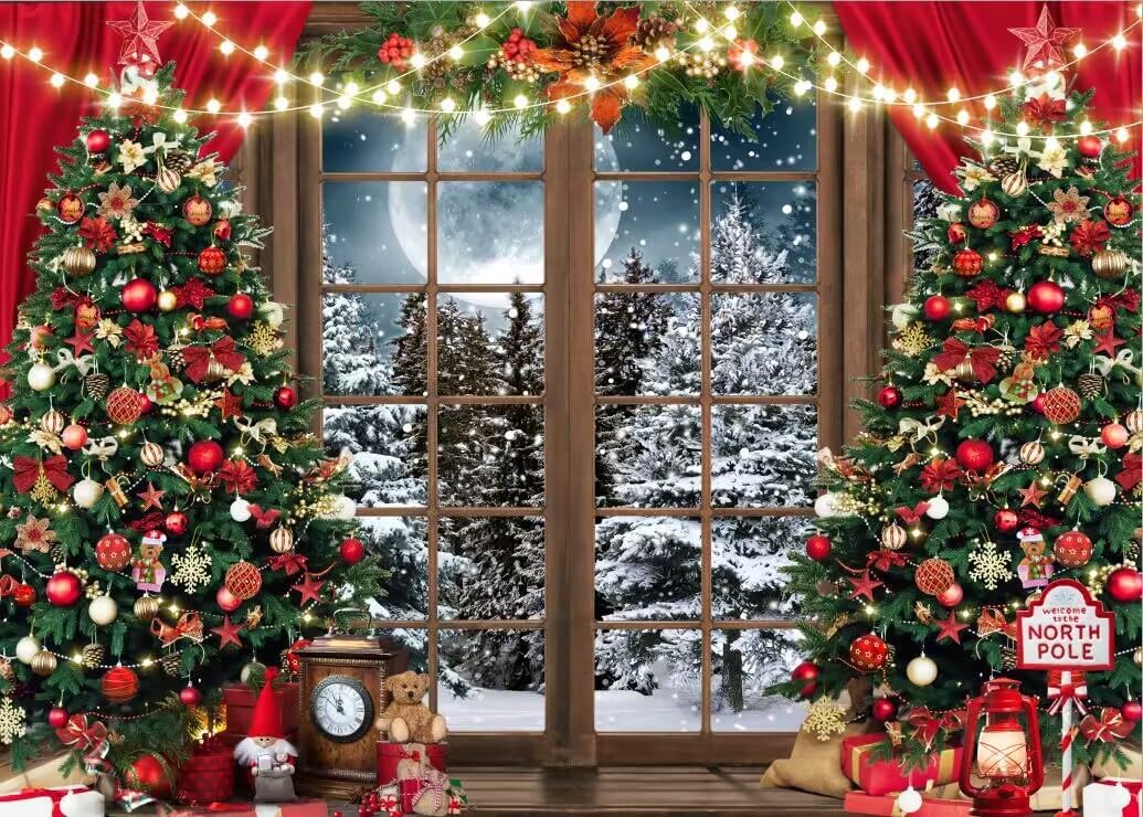 Amazon.com : Dudaacvt 7x5ft Christmas Backdrop Christmas Window ...
