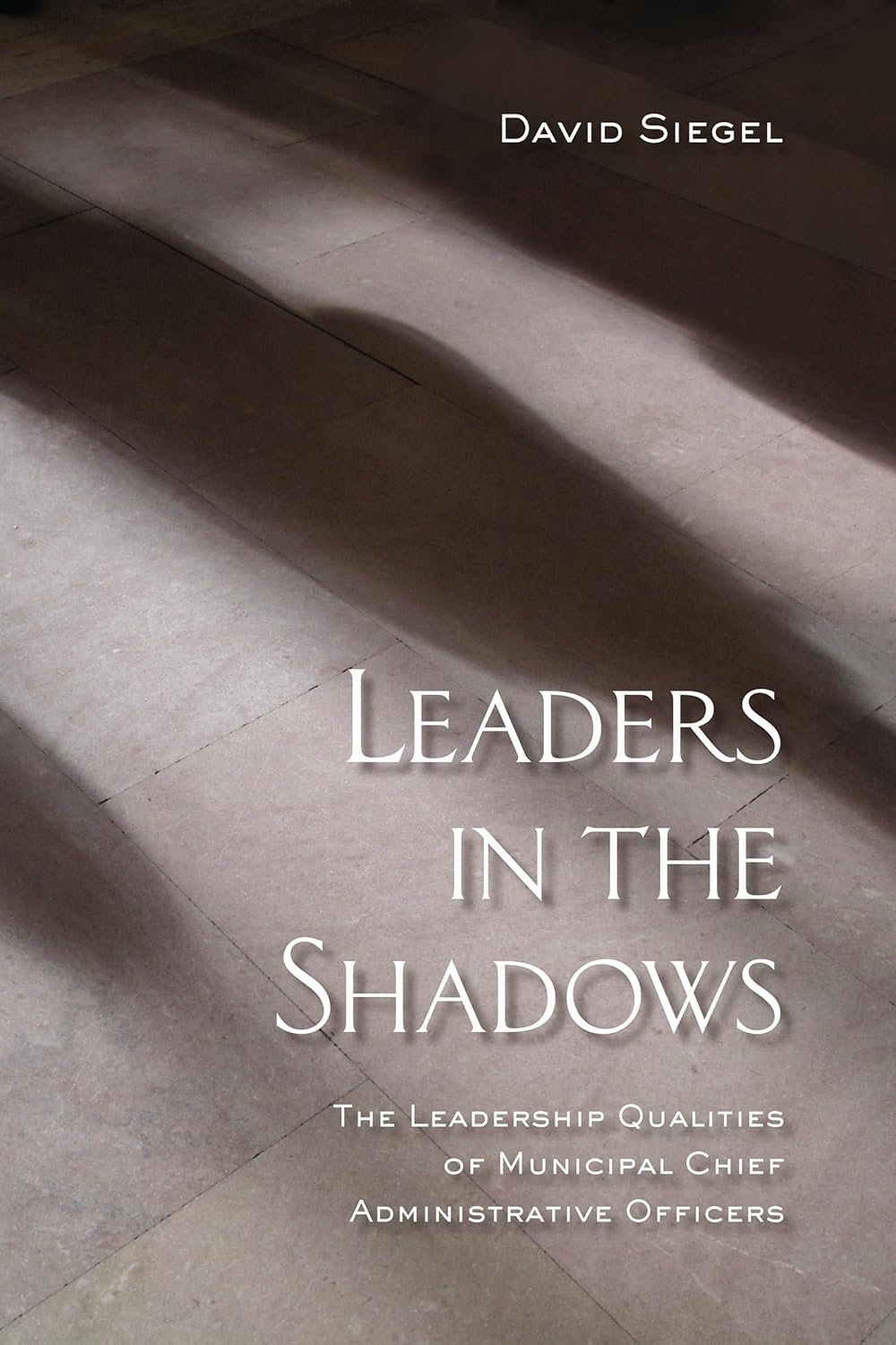 Leaders in the Shadows: The Leadership Qualities of Municipal Chief ...