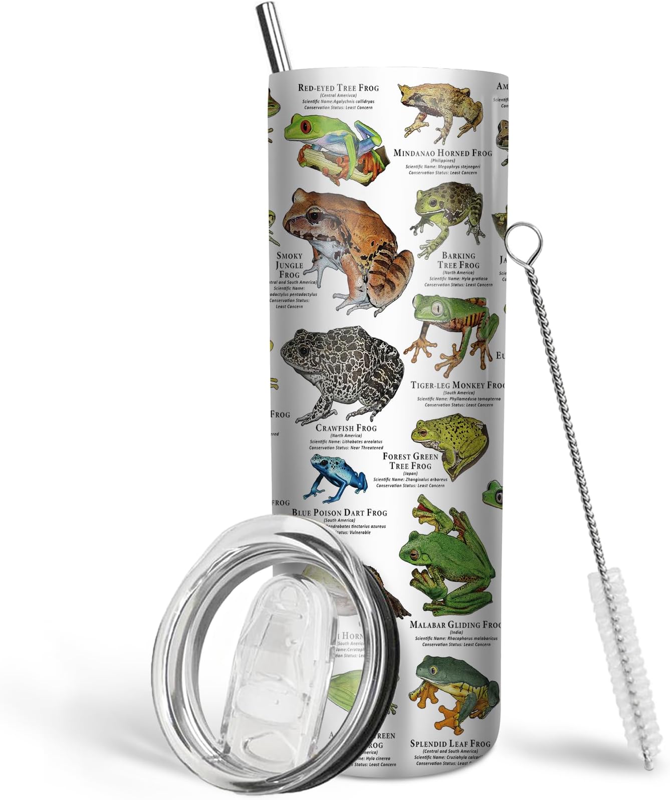 Amazon.com | Ceovfoi Frog Tumbler,Cute Green Kawaii Frog Mushroom ...