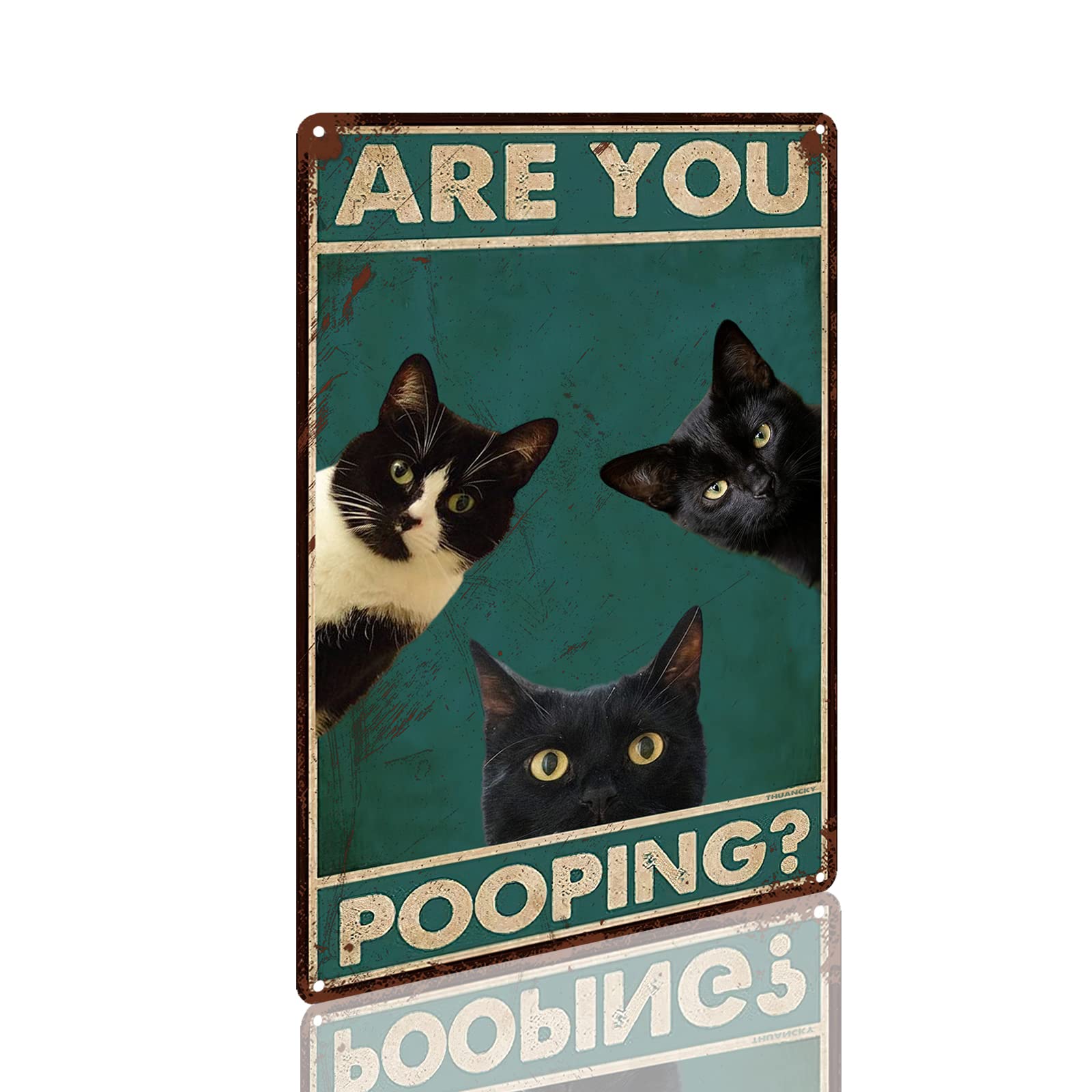 Retro Tin Sign Vintage Black Cat are You Pooping Funny Signs,Bathroom ...