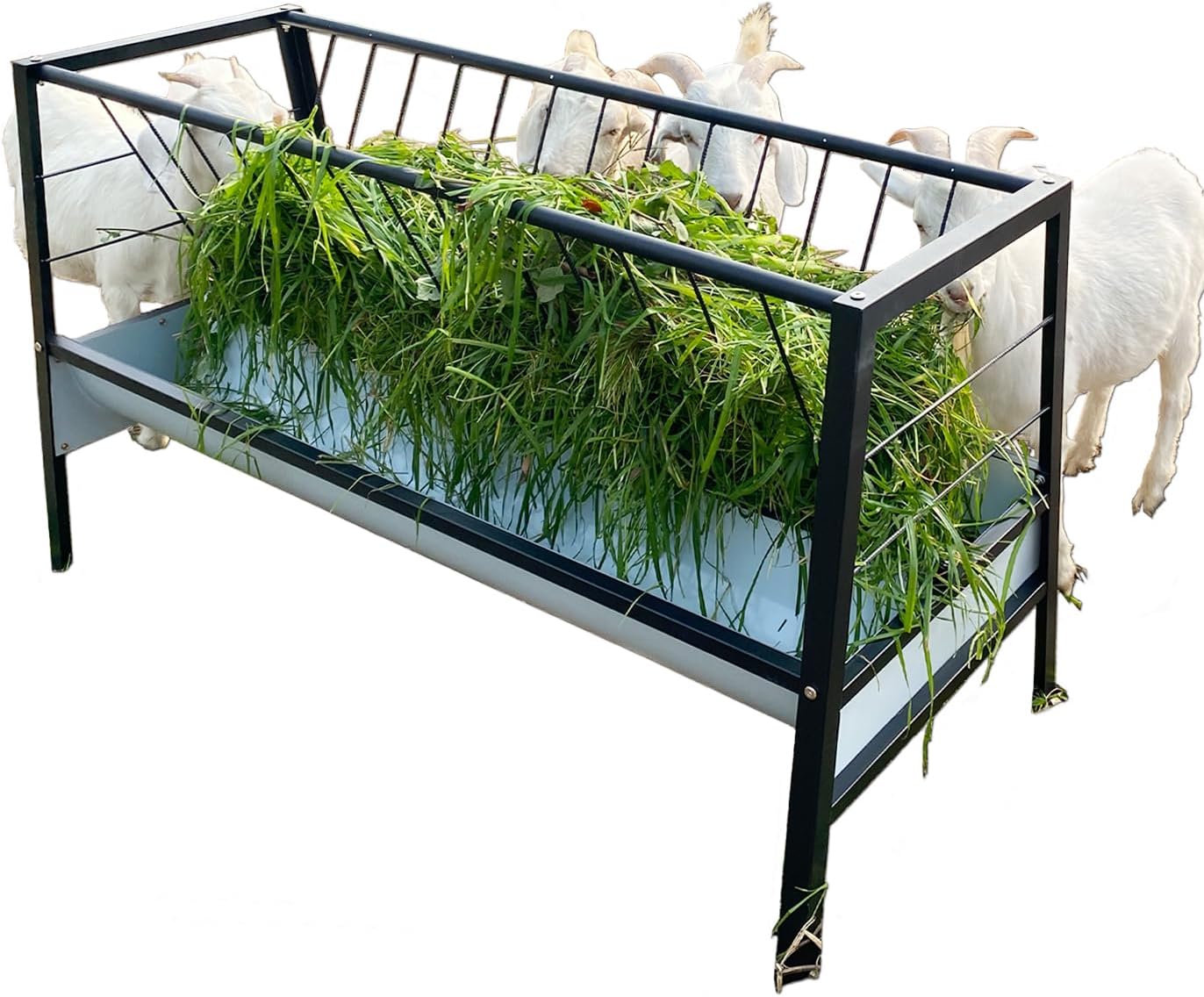 Amazon.com: Goat Hay Feeder, Pasture Hay Grain Feeder for Goats ...