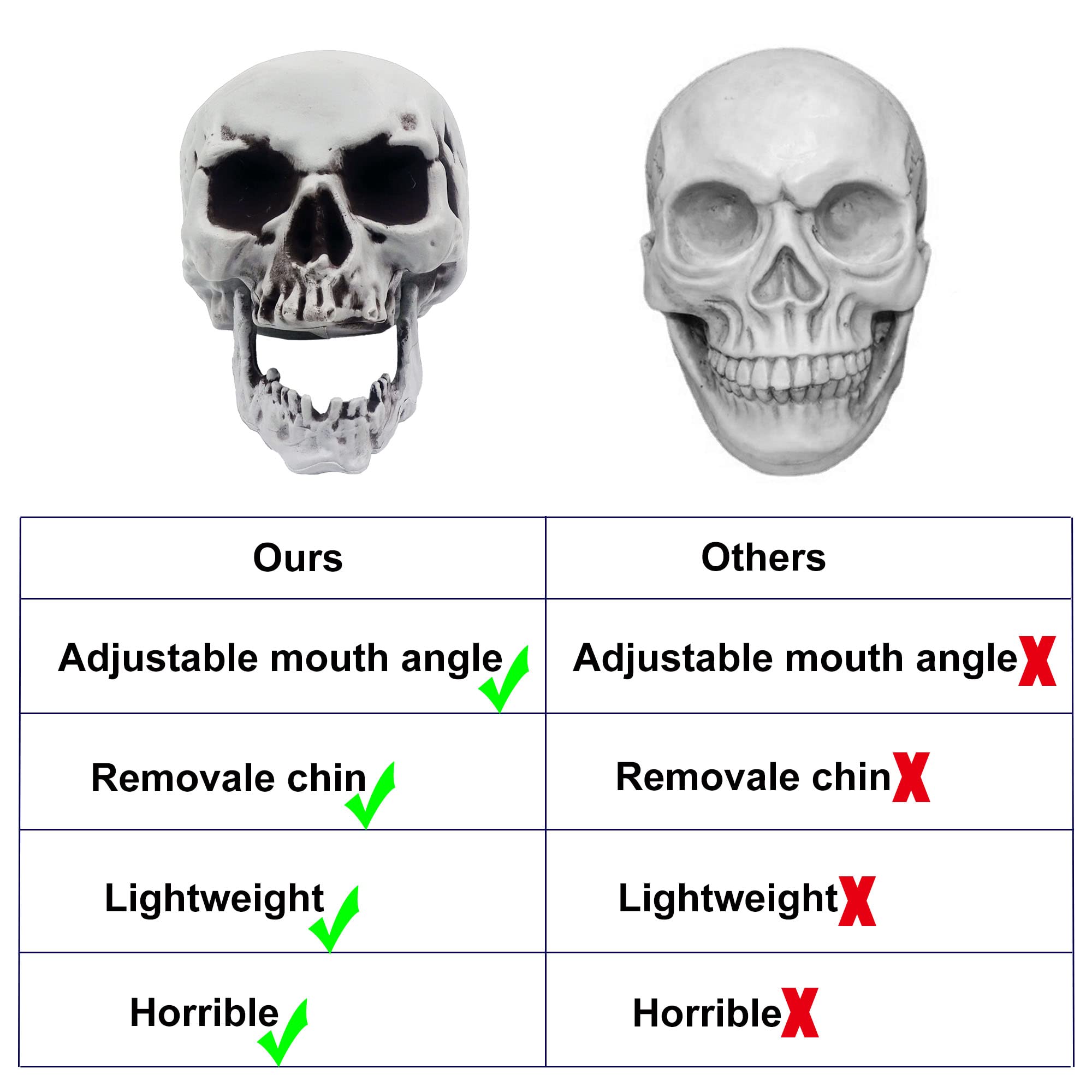 Male And Female Skull Comparison