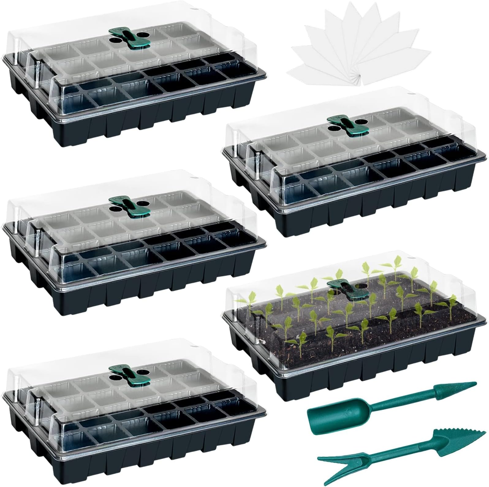 Amazon.com : Amyhill Seed Starter Tray Planting Peat Pots for Seedlings ...
