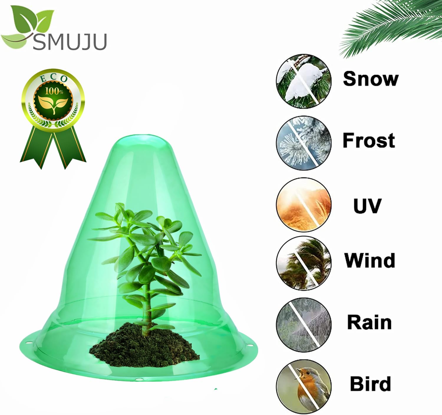 Plant Cloches And Cold Protection Free Home Made Cloches