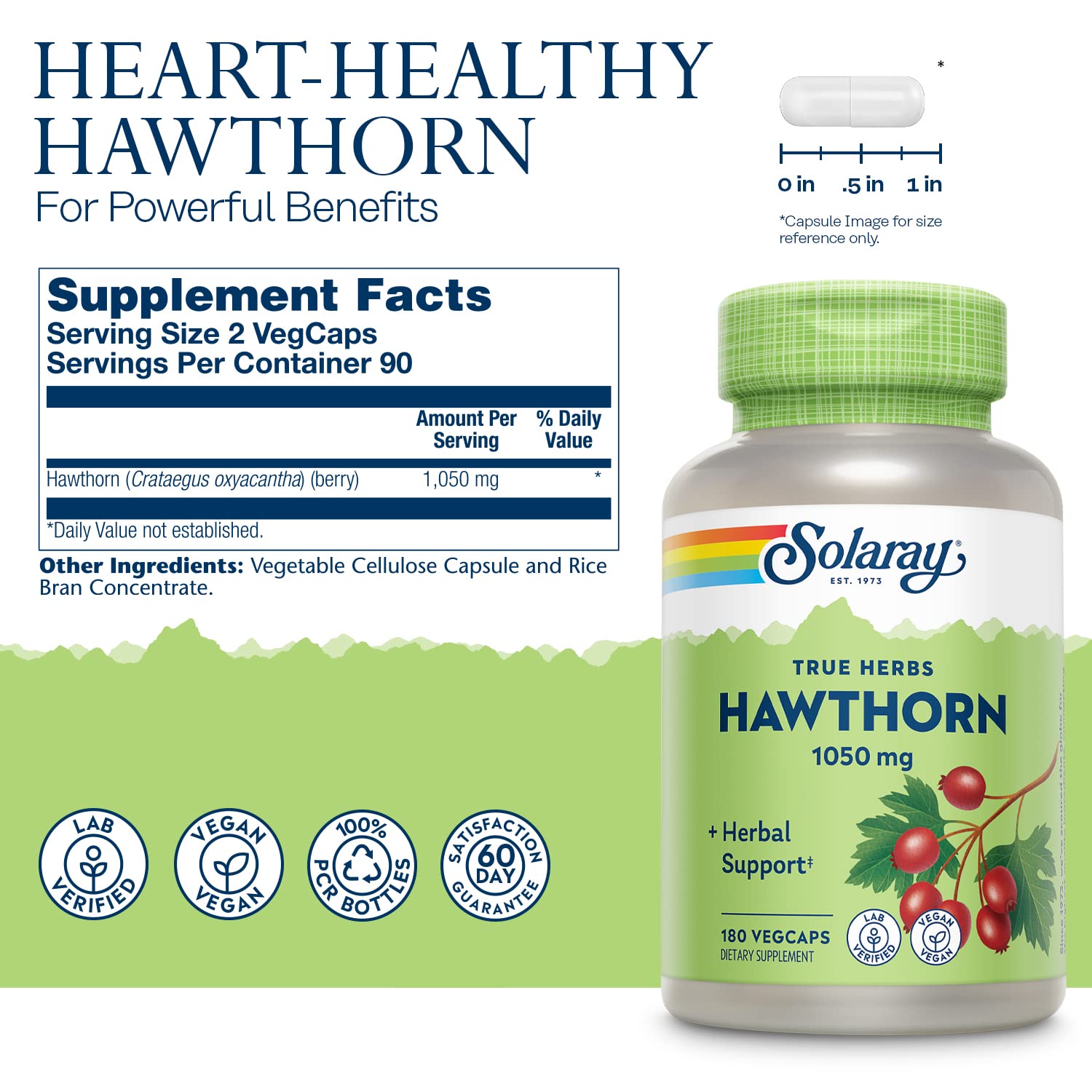 Solaray Hawthorn Berry 1050 mg | Función cardiovascula...B0001VVBEM ...