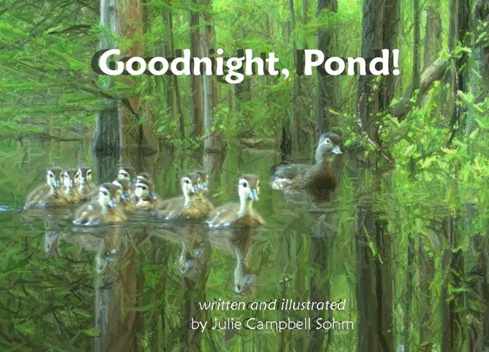 Goodnight, Pond!: Learning about Nature - Kindle edition by Sohm, Julie ...