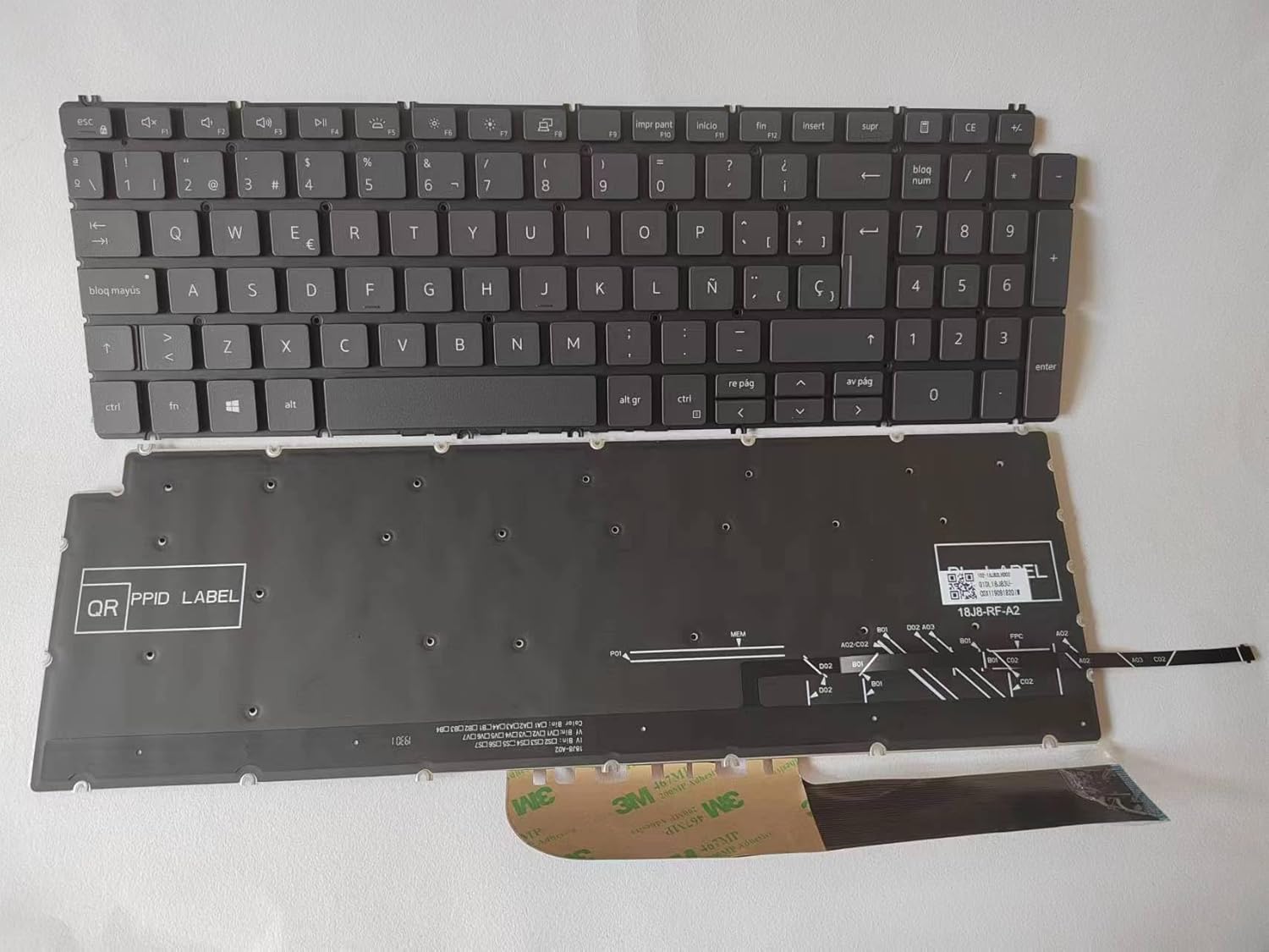 Amazon.com: New Spanish Layout for Dell Inspiron 3501 3502 3505 5501 ...