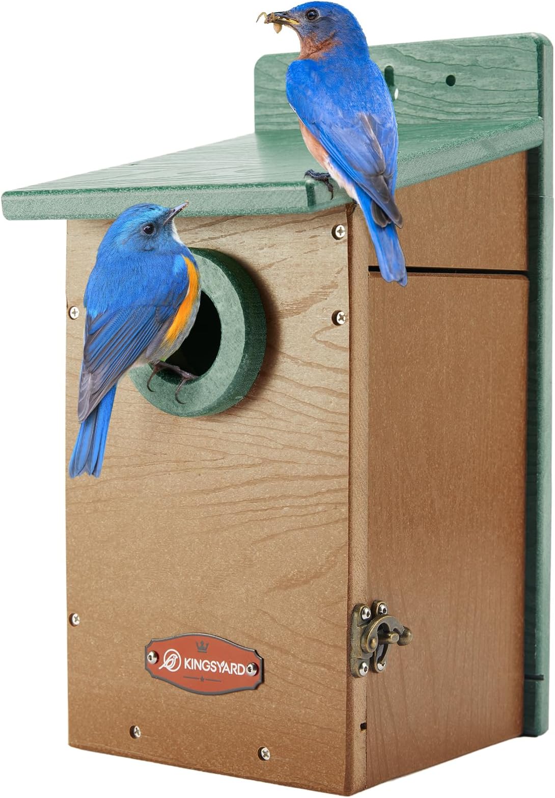 Amazon.com : Songbird Essentials Recycled Plastic Wren House Hunter ...