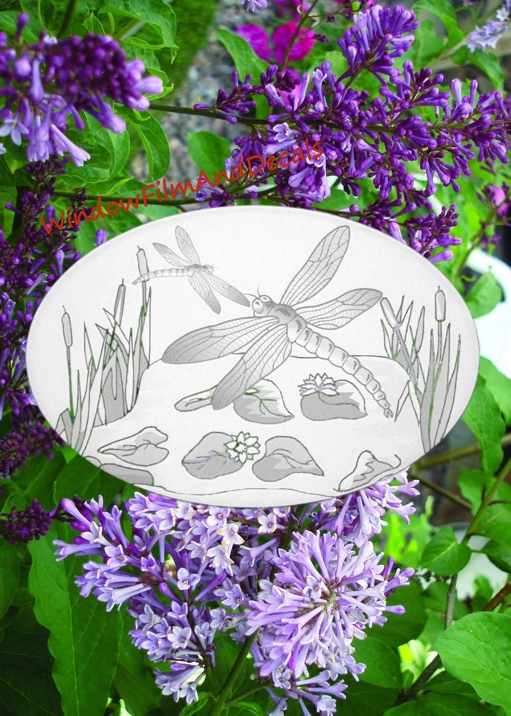 Amazon.com: Dragonfly Scene Oval Etched Window Decal Vinyl Glass Cling ...